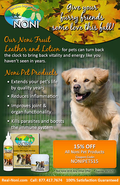 Janet Yoder - Portfolio