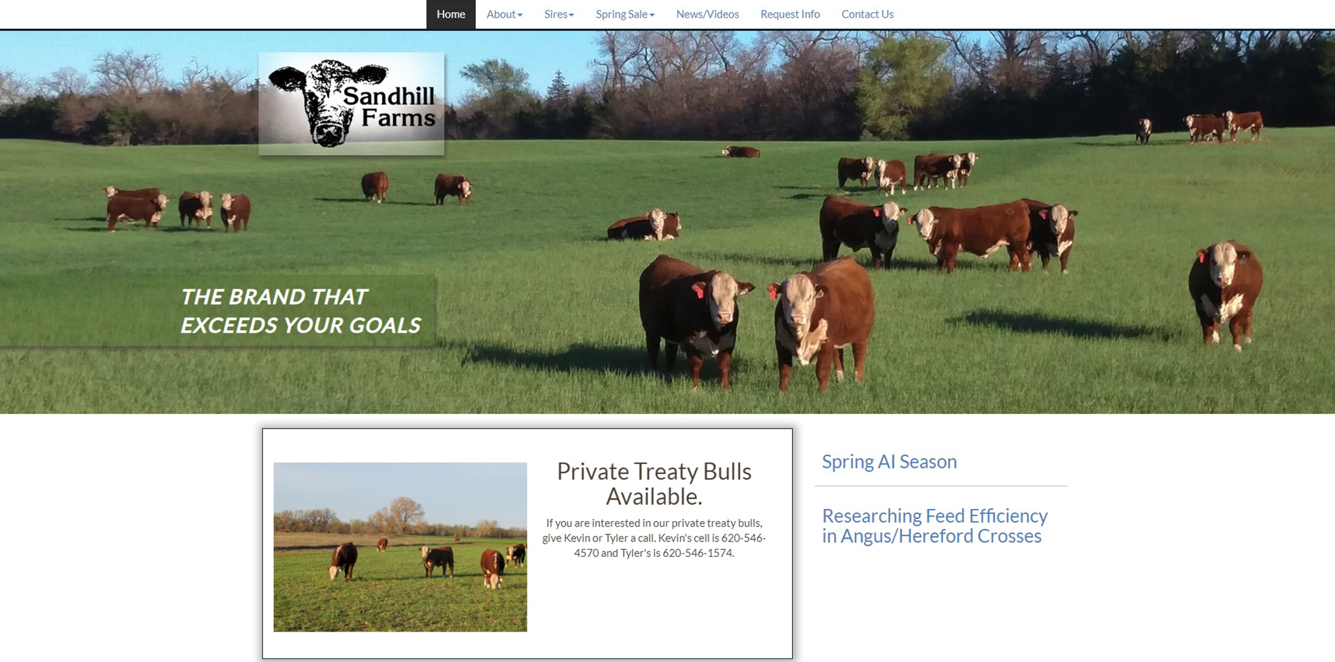 Janet Yoder - Portfolio