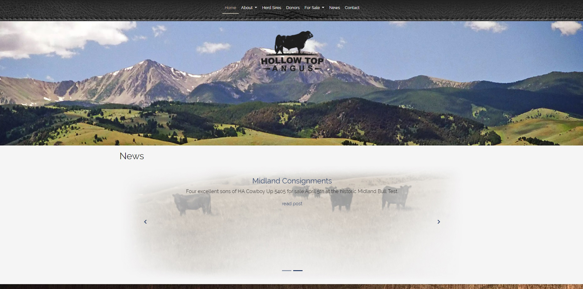 Janet Yoder - Portfolio