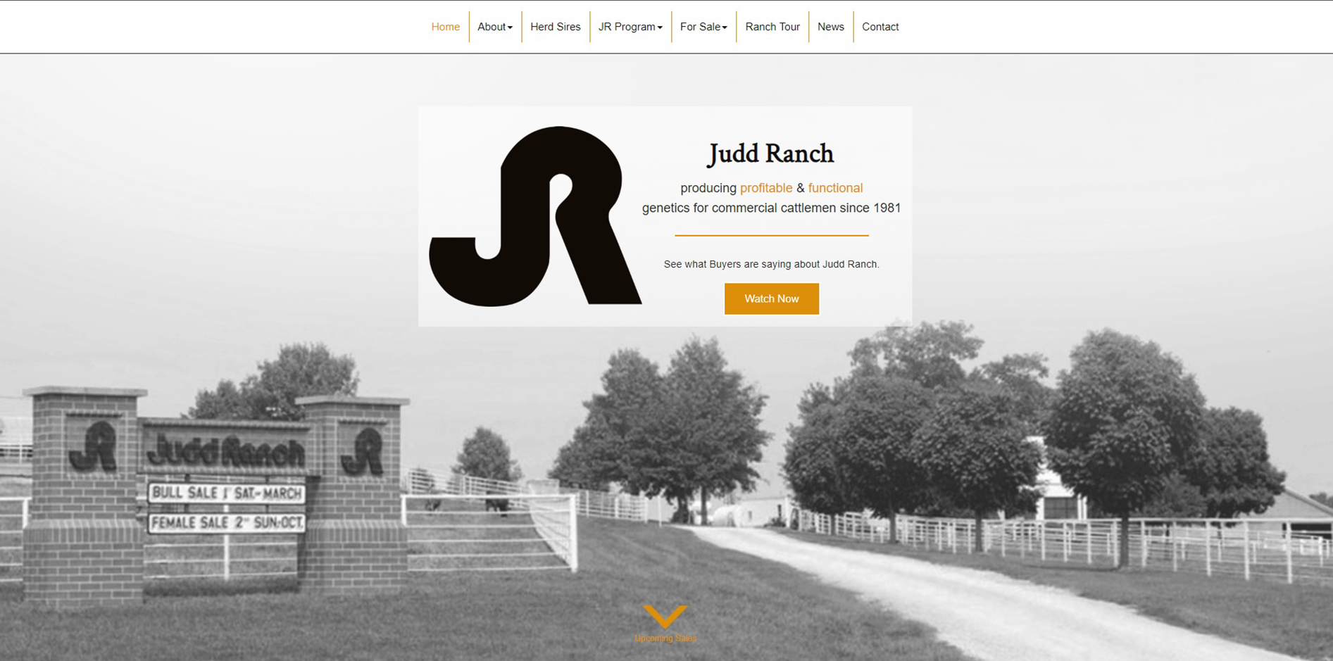 Janet Yoder - Portfolio