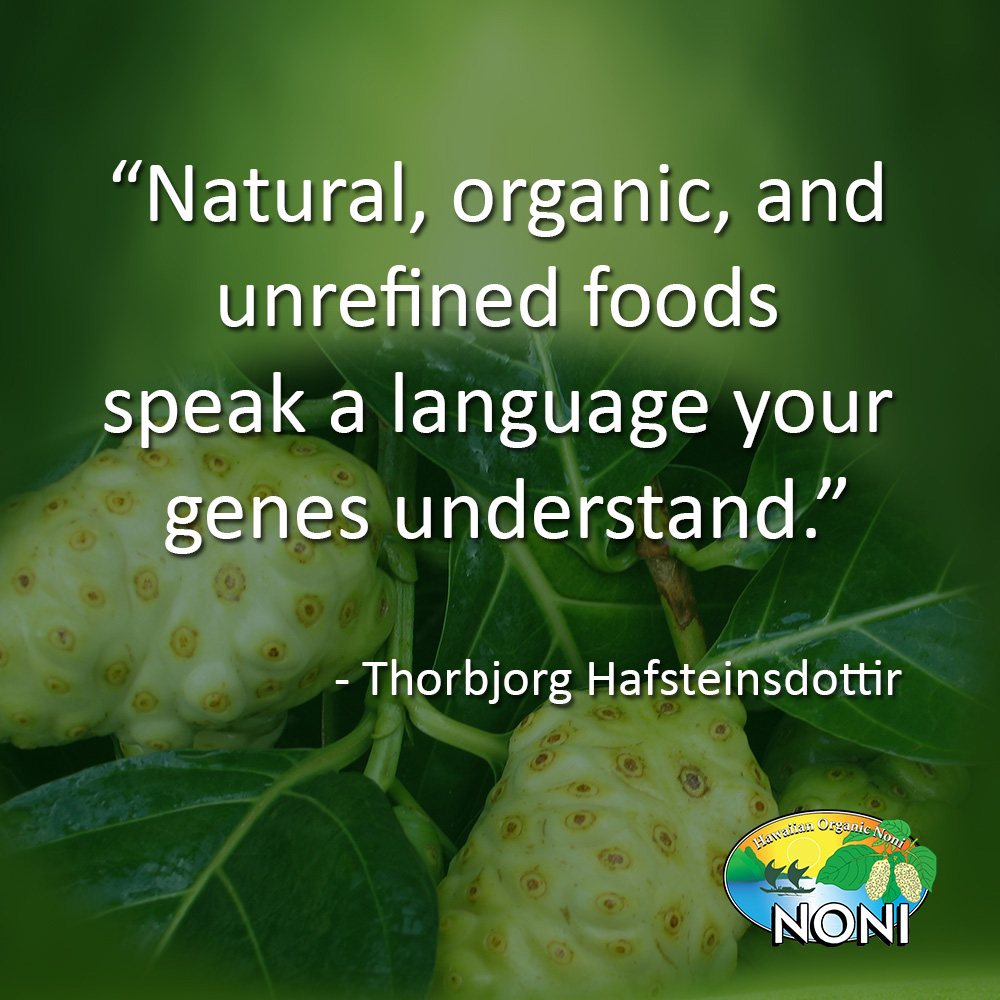 Janet Yoder - Portfolio