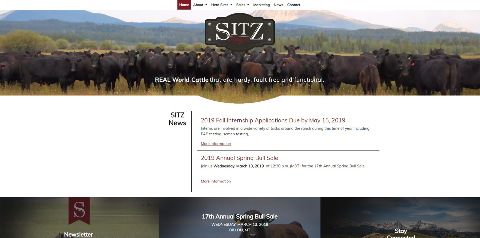 Janet Yoder - Portfolio