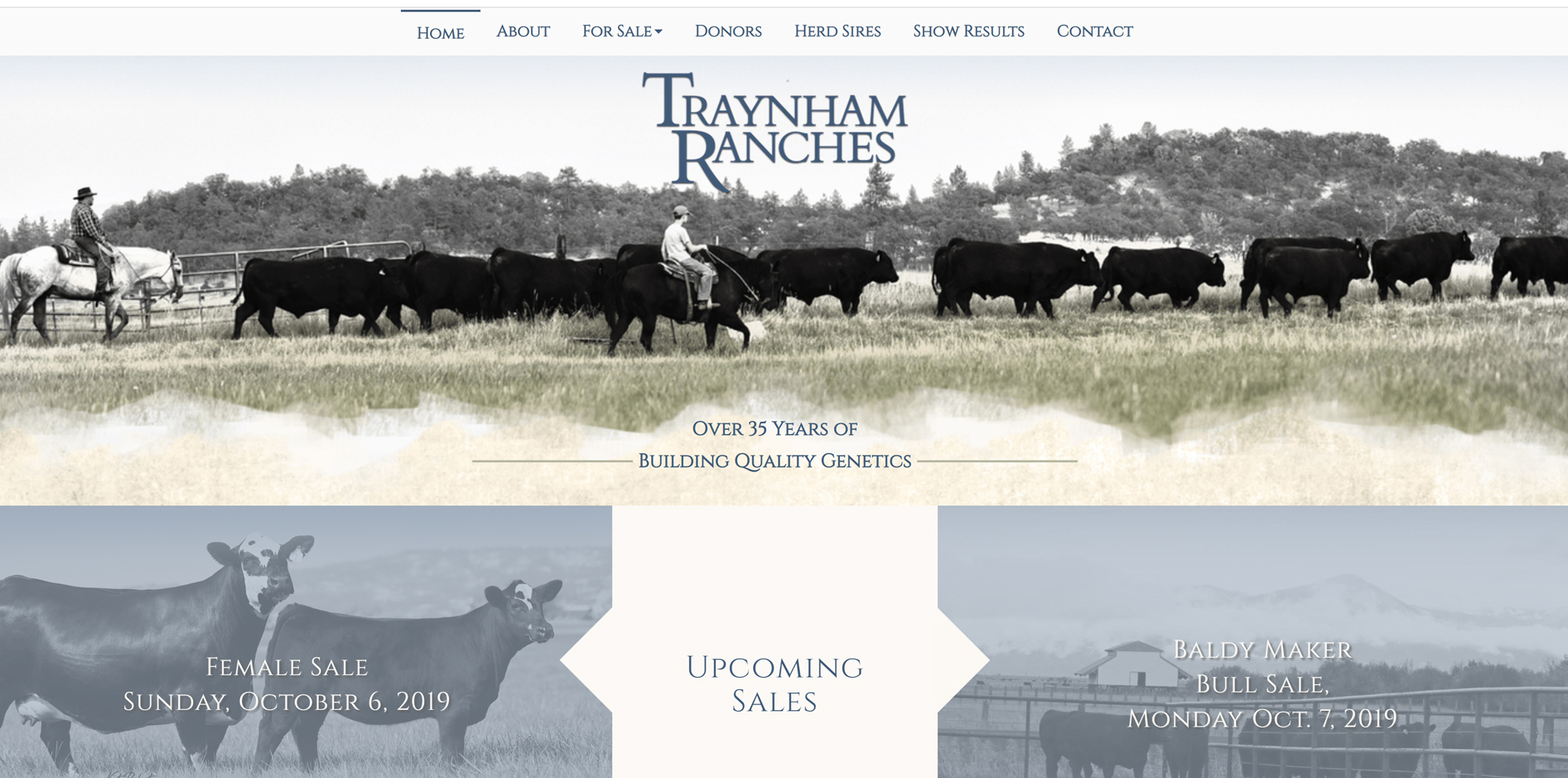 Janet Yoder - Portfolio