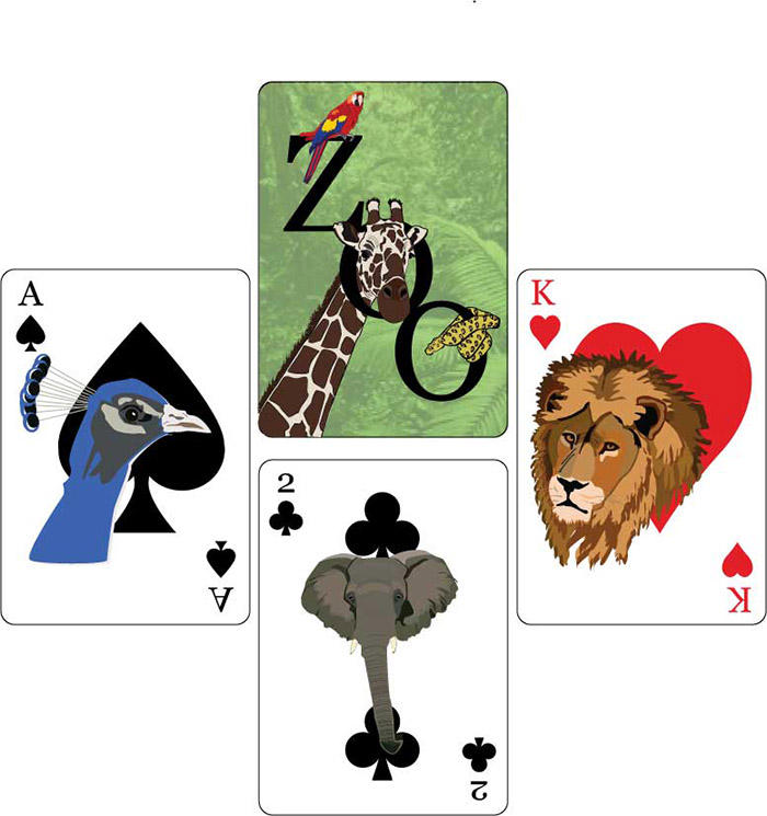 Janet Yoder - Portfolio